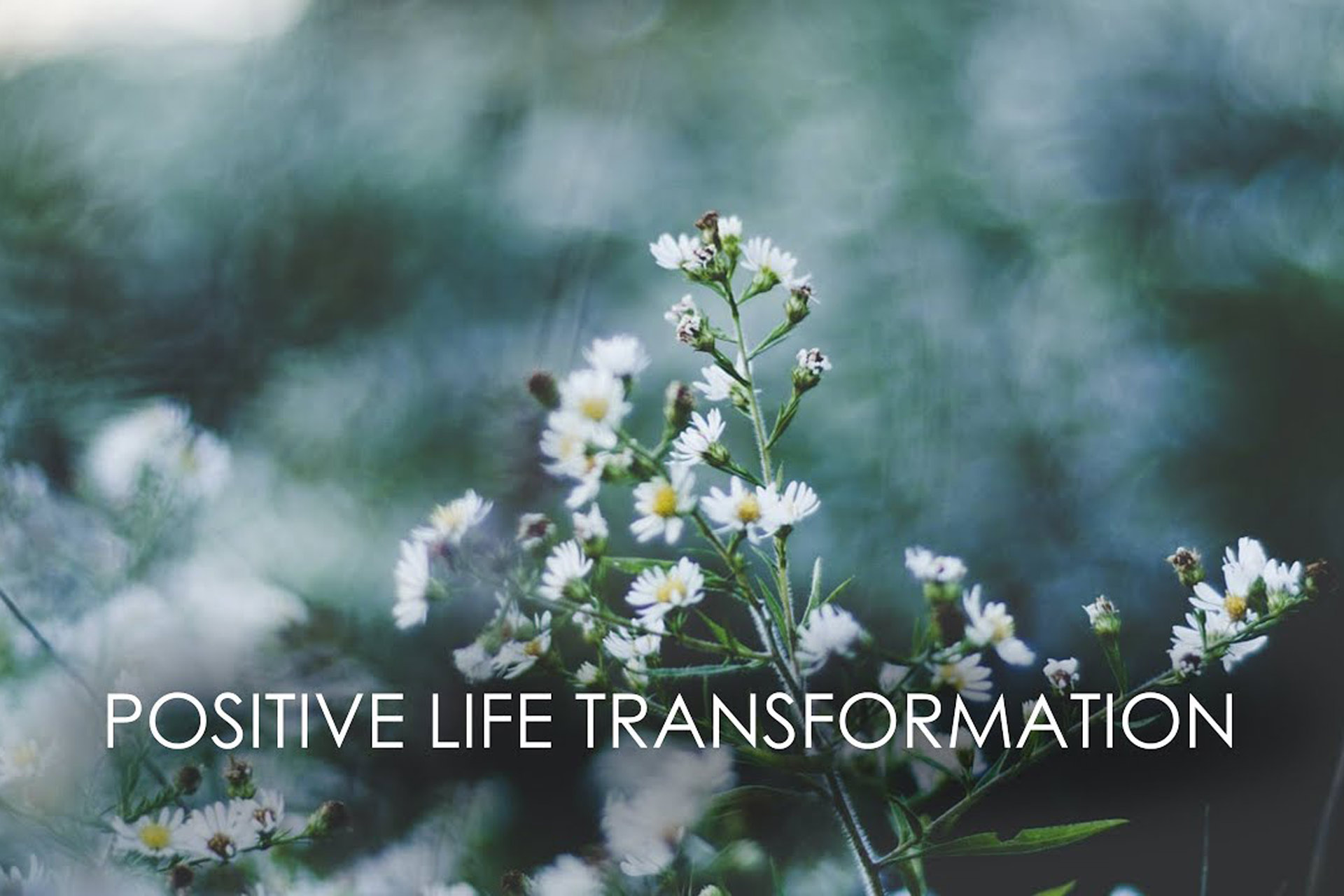 Positive Life Transformation - Beyond The Mind